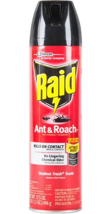 RAID ANT & ROACH KILLER OUTDOOR FRESH 17.5 OZ - Metro Atlanta Wholesale